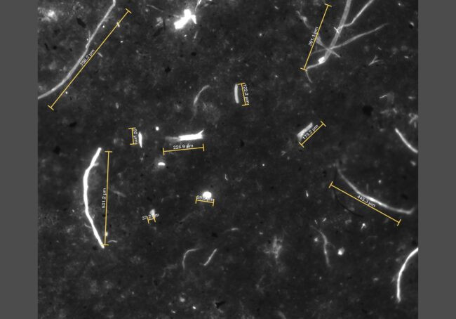 High School Students Learn About Microplastic Pollution in Eco ...