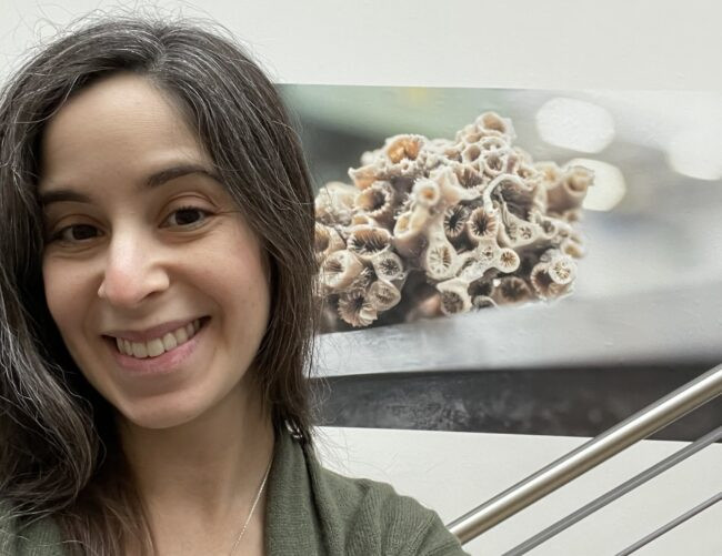 The Hidden Language of Ocean Coral | Lamont-Doherty Earth Observatory
