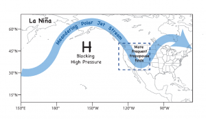 ozone cycle overview